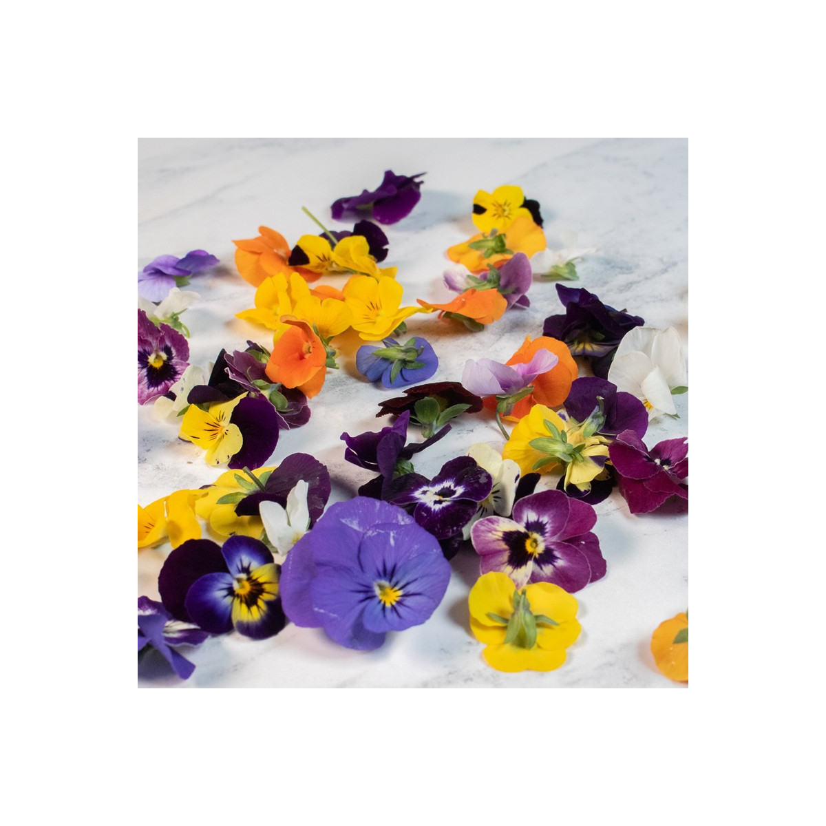 In Season - Classic Fine Foods