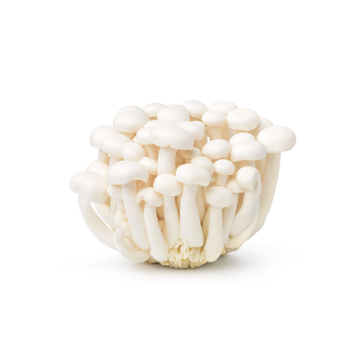Mushrooms - Classic Fine Foods