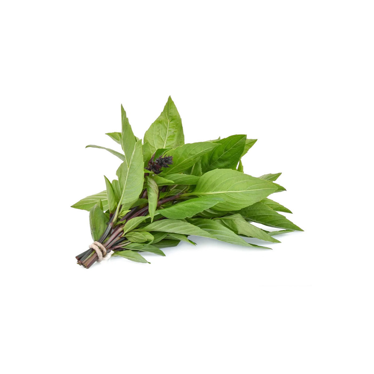 Chives - Classic Fine Foods